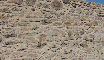 Oxal NK 100 - MC-Bauchemie